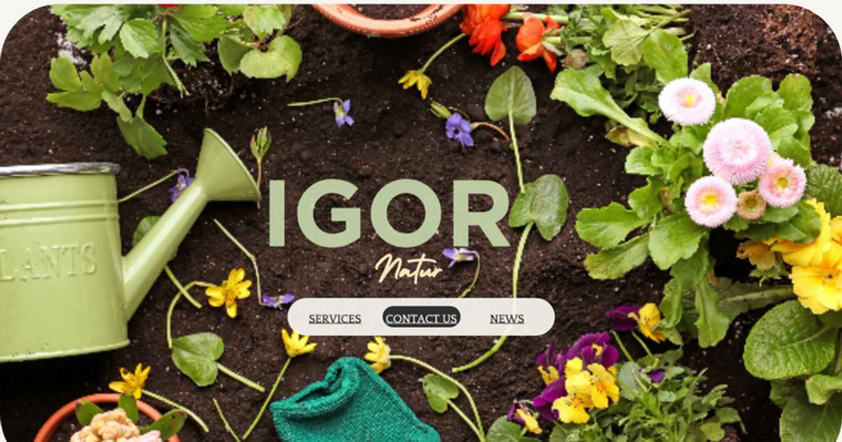 IGOR WEB